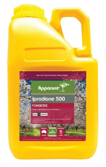 IPRODIONE 500 Fungicide for Fast Fungal Disease Control