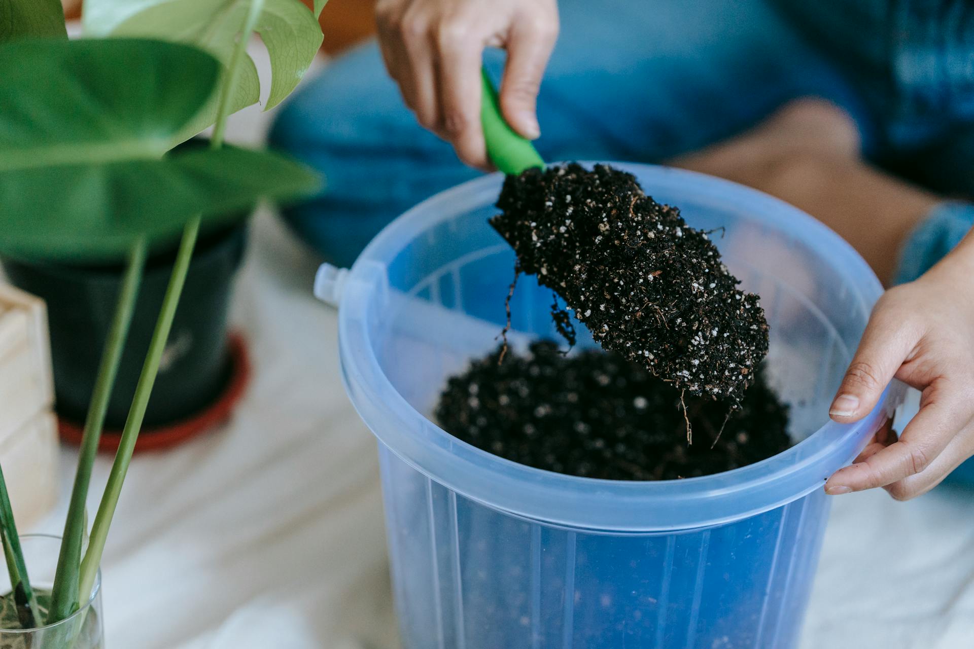 How to Choose the Right Container Material