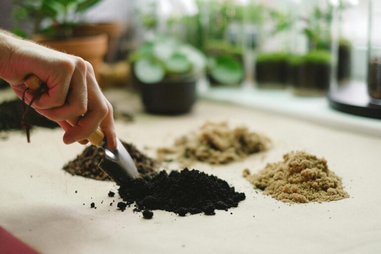 How to Make Your Own Compost at Home