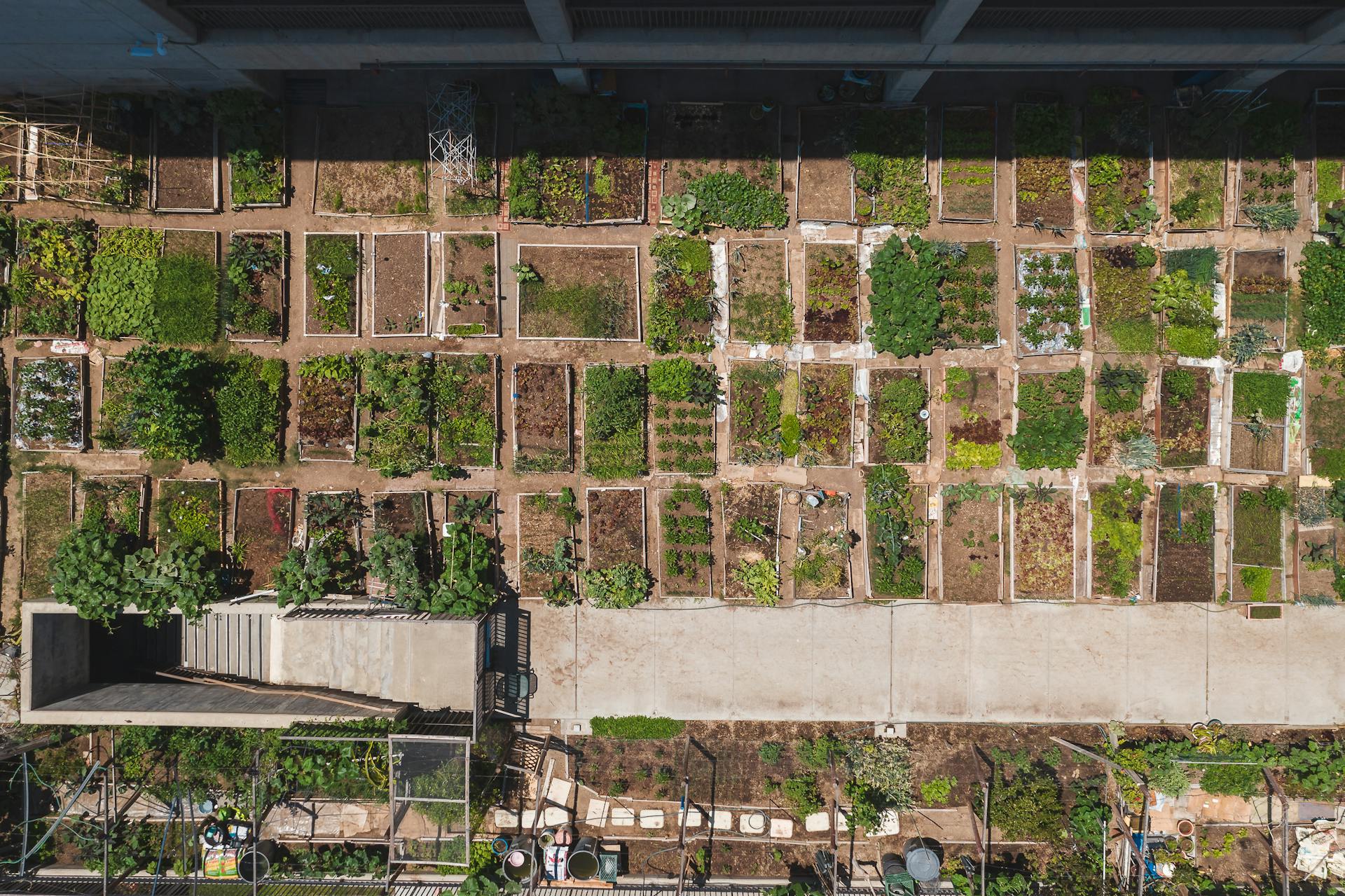 Crop Rotation Gardening: Boost Soil Health & Yields