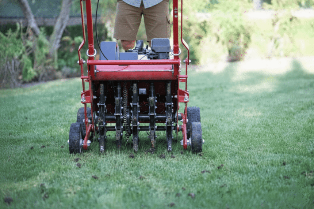 THE ULTIMATE SPRING LAWN RENOVATION MASTERCLASS